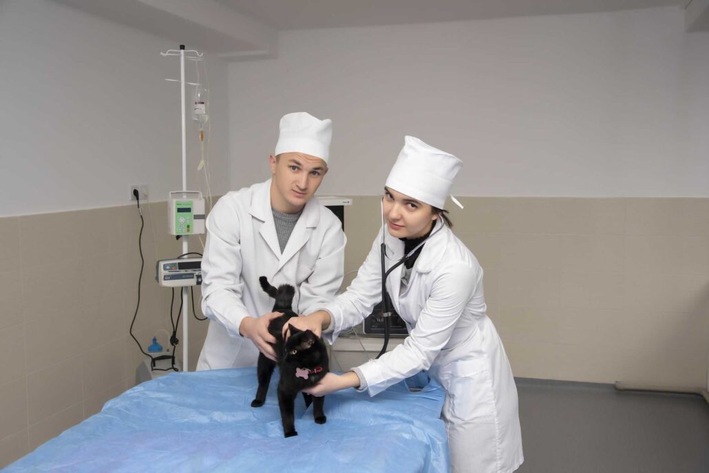 Centrul Medical Veterinar din cadrul UTM își confirmă capacitatea de a ...
